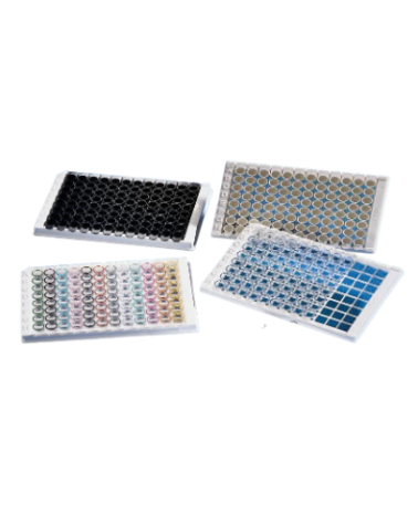 Microplaca para Cultivo de Células Transparente 96 Poços Stripwell ...