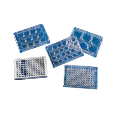 Microplacas para cultivo celular - Placas, microplacas e frascos ...